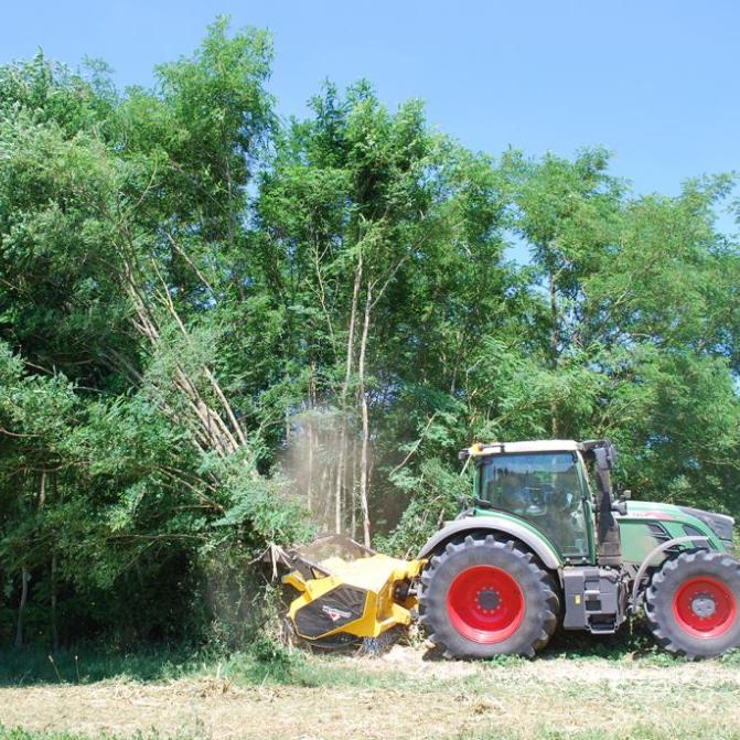 Rabaud Broyeur Forestier Sur Tracteur à Marteaux Fixes